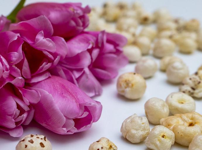 Marketing of Makhana | Makhana